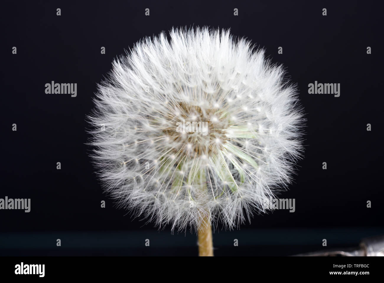 Various good quality photos with high resolution suitable as a poster ...