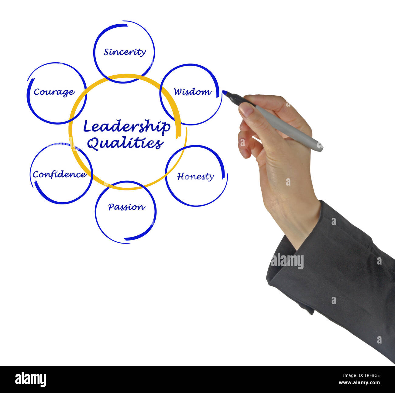 Diagram of leadership qualities Stock Photo - Alamy