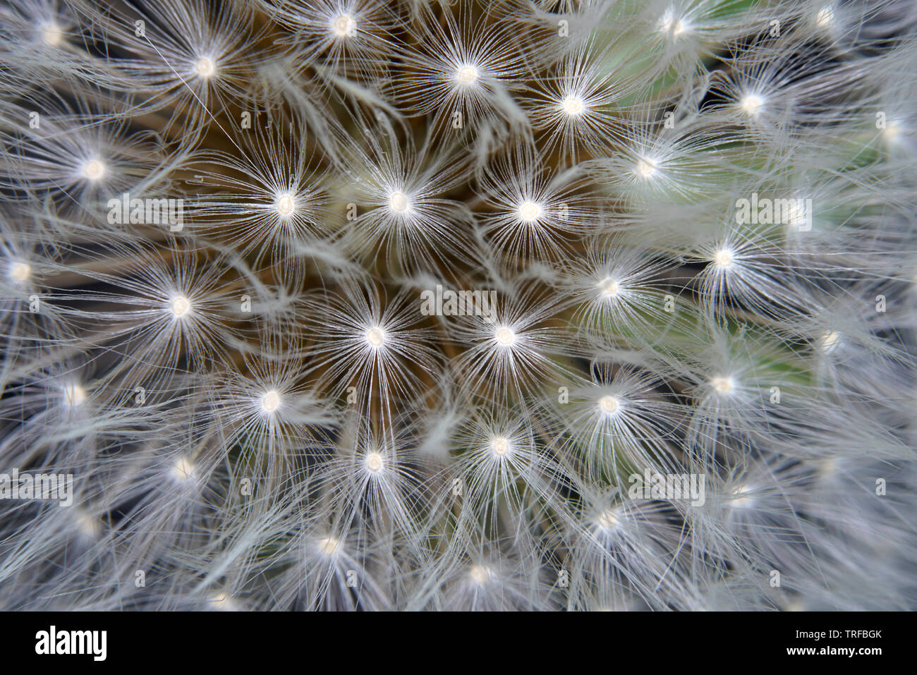 Various good quality photos with high resolution suitable as a poster ...