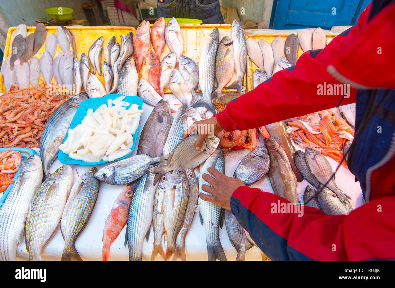 Real fish market and fresh fish, seafood from Atlantic ocean in Morocco ...