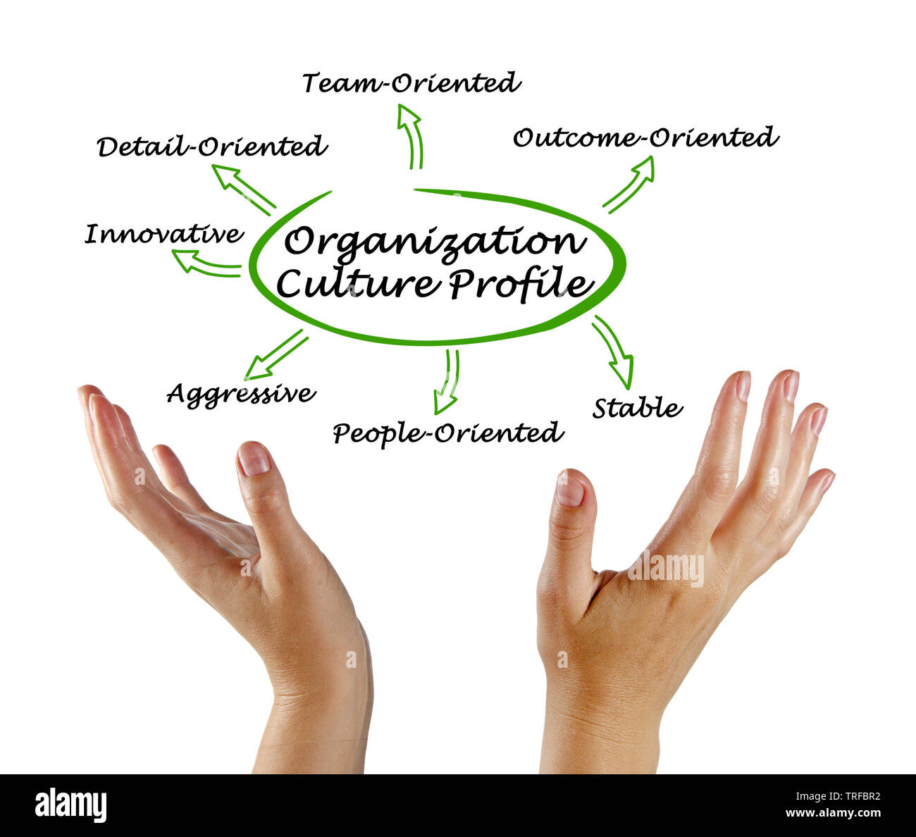 Organization Culture Profile Stock Photo - Alamy