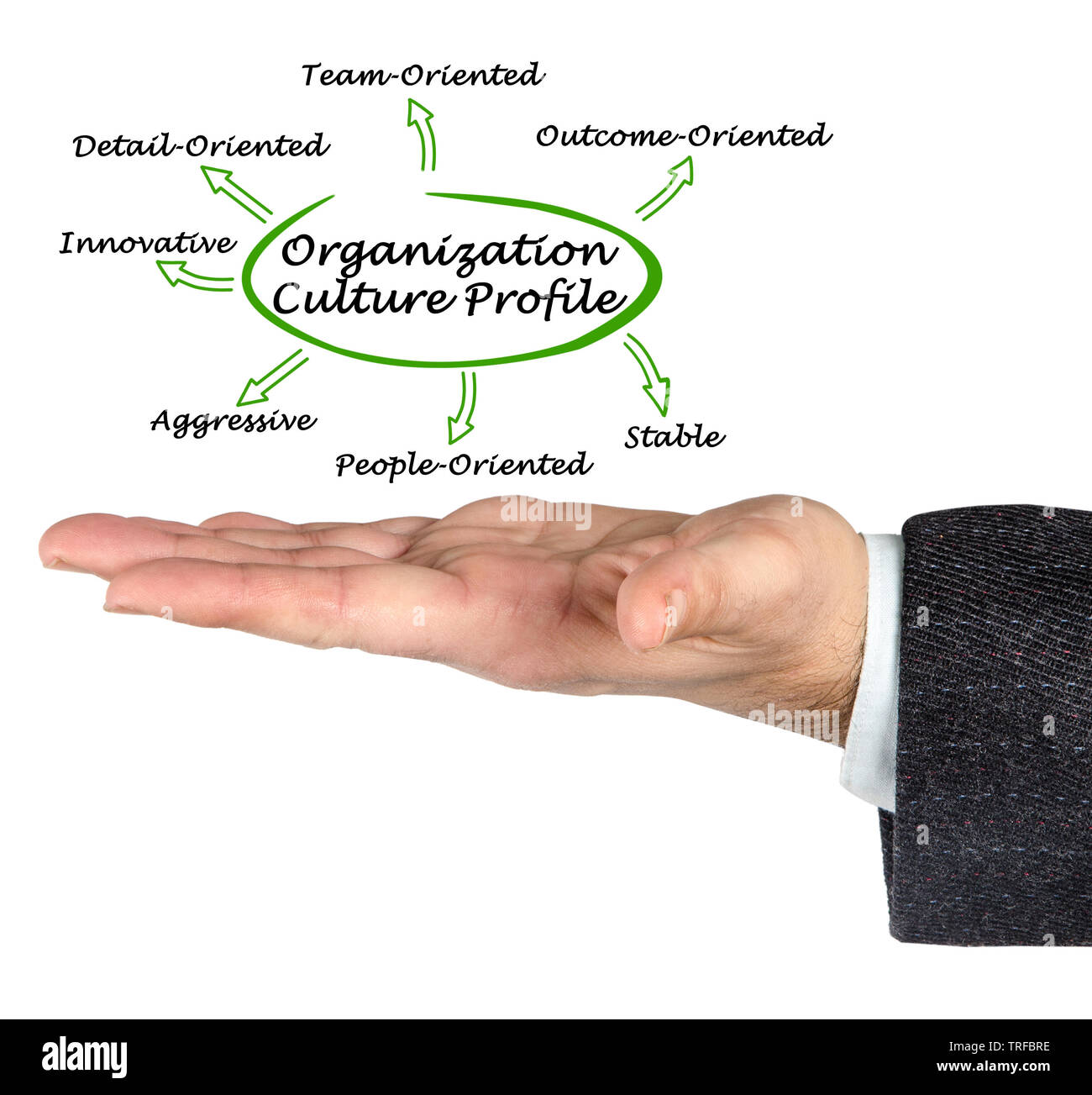 Organization Culture Profile Stock Photo - Alamy