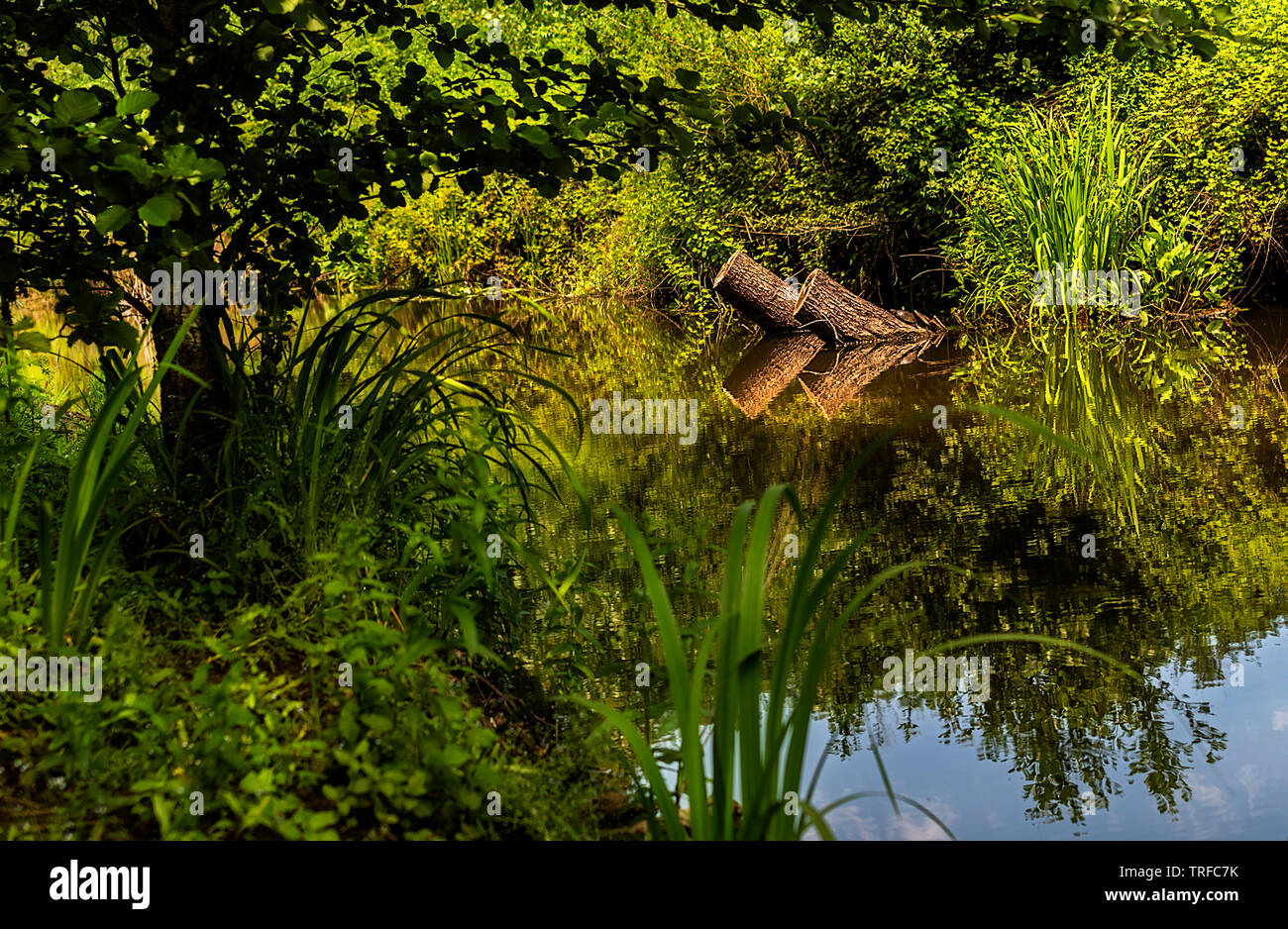 Sakarya karasu hi-res stock photography and images - Alamy