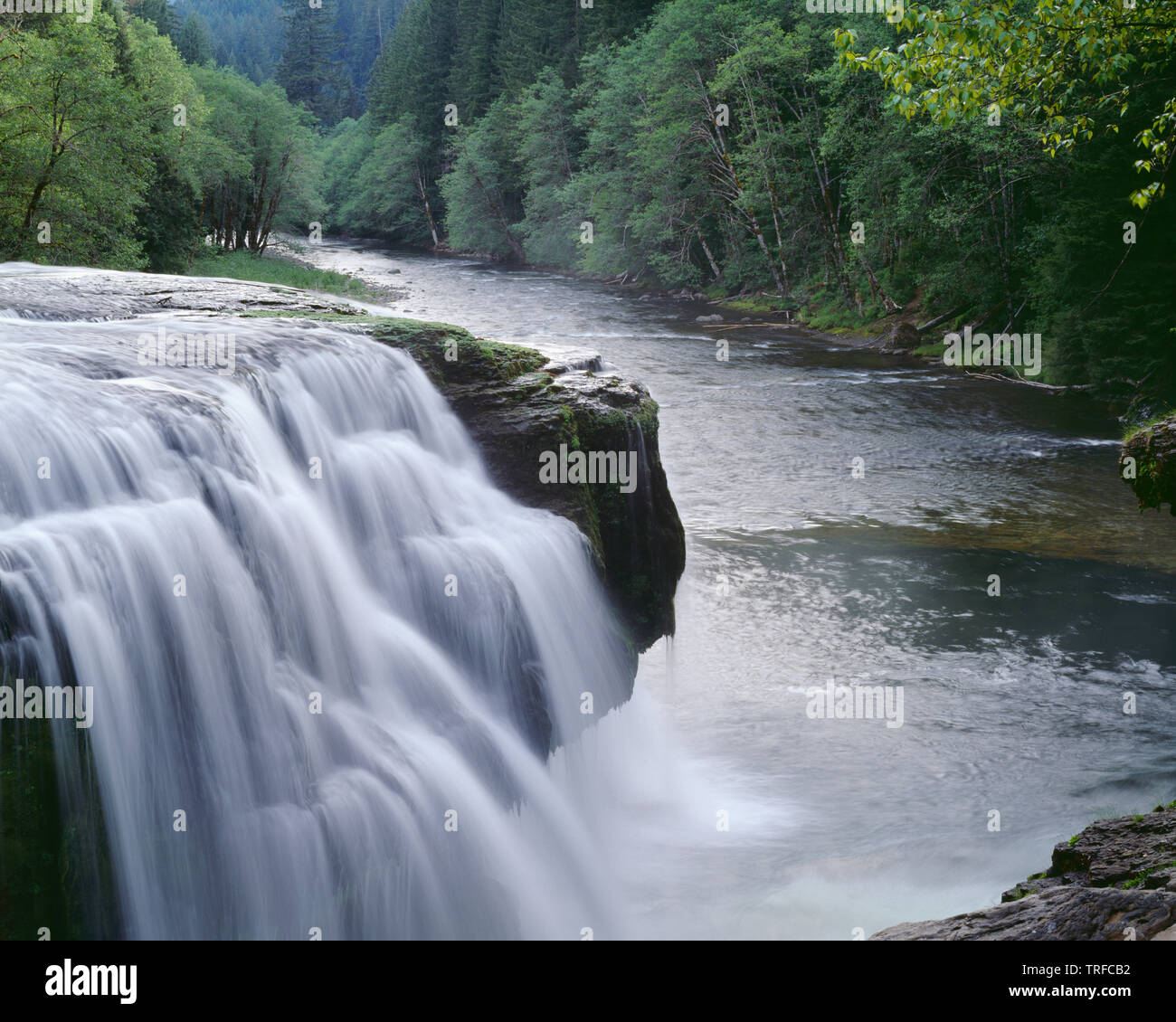 USA, Washington, Gifford Pinchot National Forest, Lewis River plummets ...