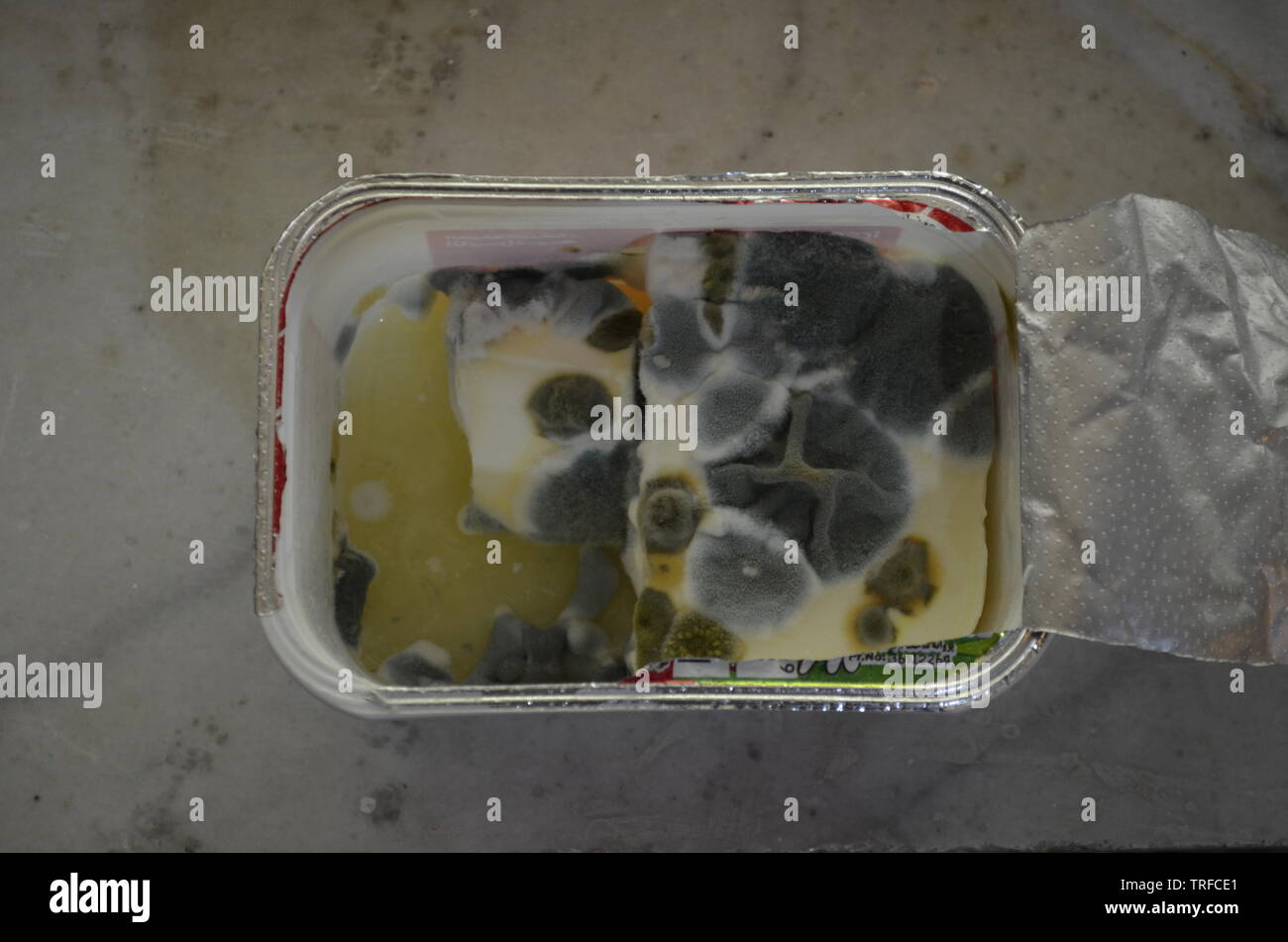 Rotten cheese hi-res stock photography and images - Alamy