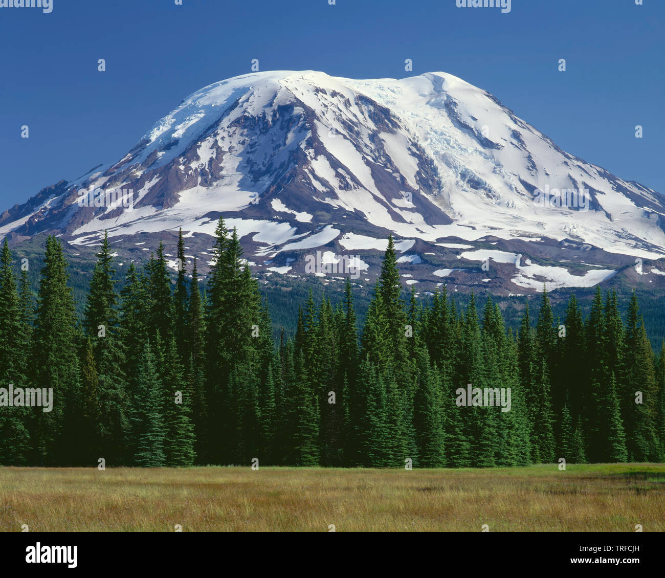 USA, Washington, Gifford Pinchot National Forest, Northwest side of Mt ...