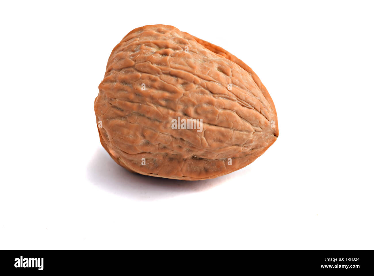 Walnut isolated on white background Stock Photo - Alamy