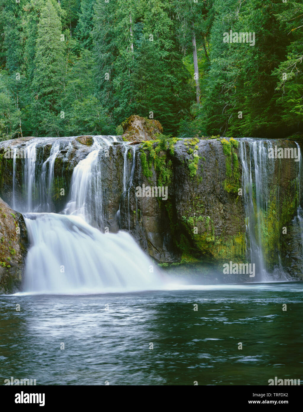 USA, Washington, Gifford Pinchot National Forest, Lewis River descends ...