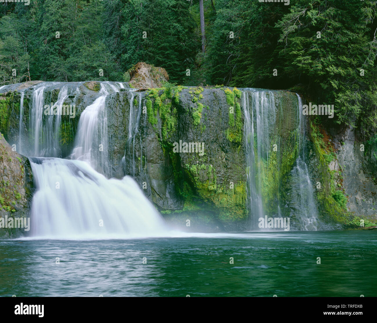 USA, Washington, Gifford Pinchot National Forest, Lewis River descends ...