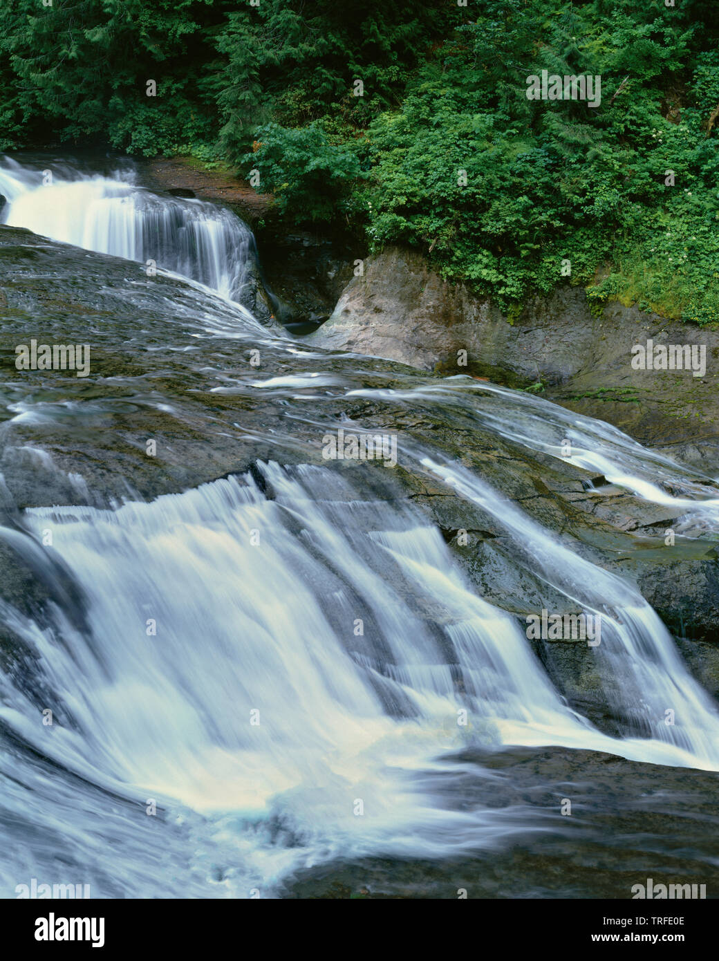 USA, Washington, Gifford Pinchot National Forest, Lewis River descends ...