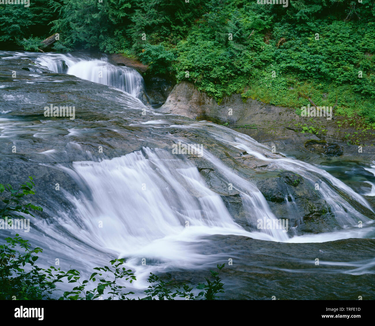 USA, Washington, Gifford Pinchot National Forest, Lewis River descends ...