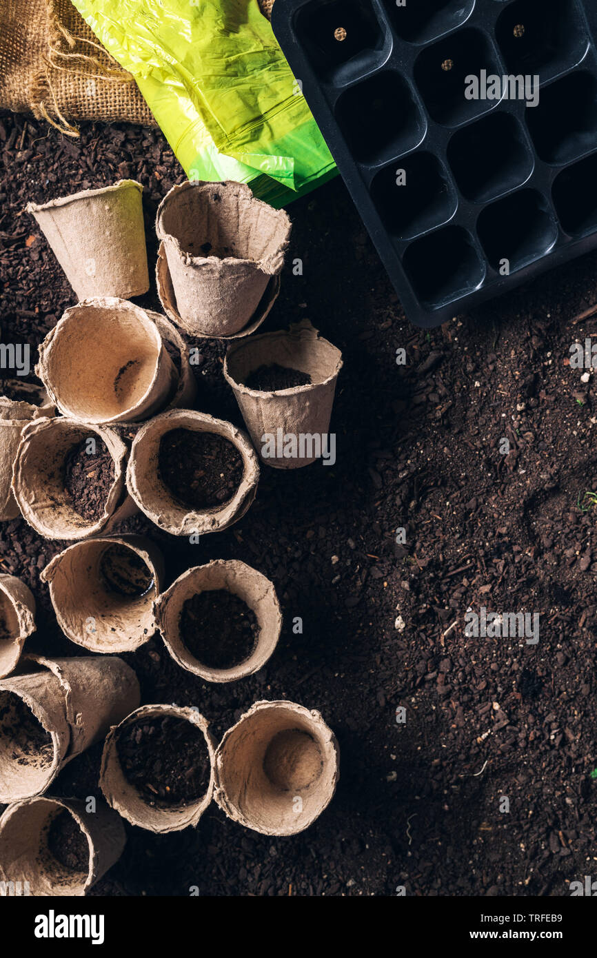 Biodegradable peat pot on greenhouse compost humus soil, organic ...