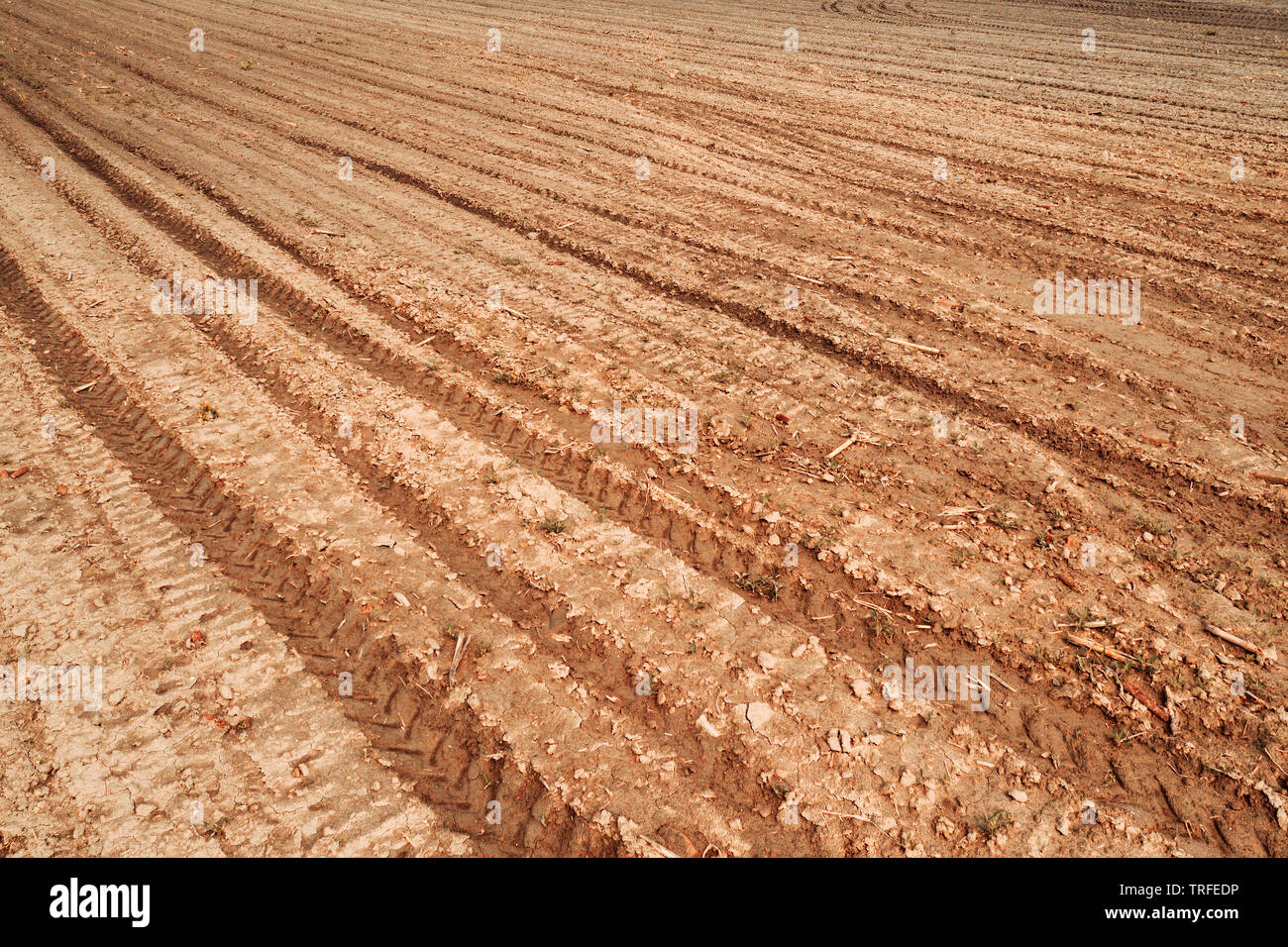 Plowed field land is ready for crop sowing season Stock Photo - Alamy