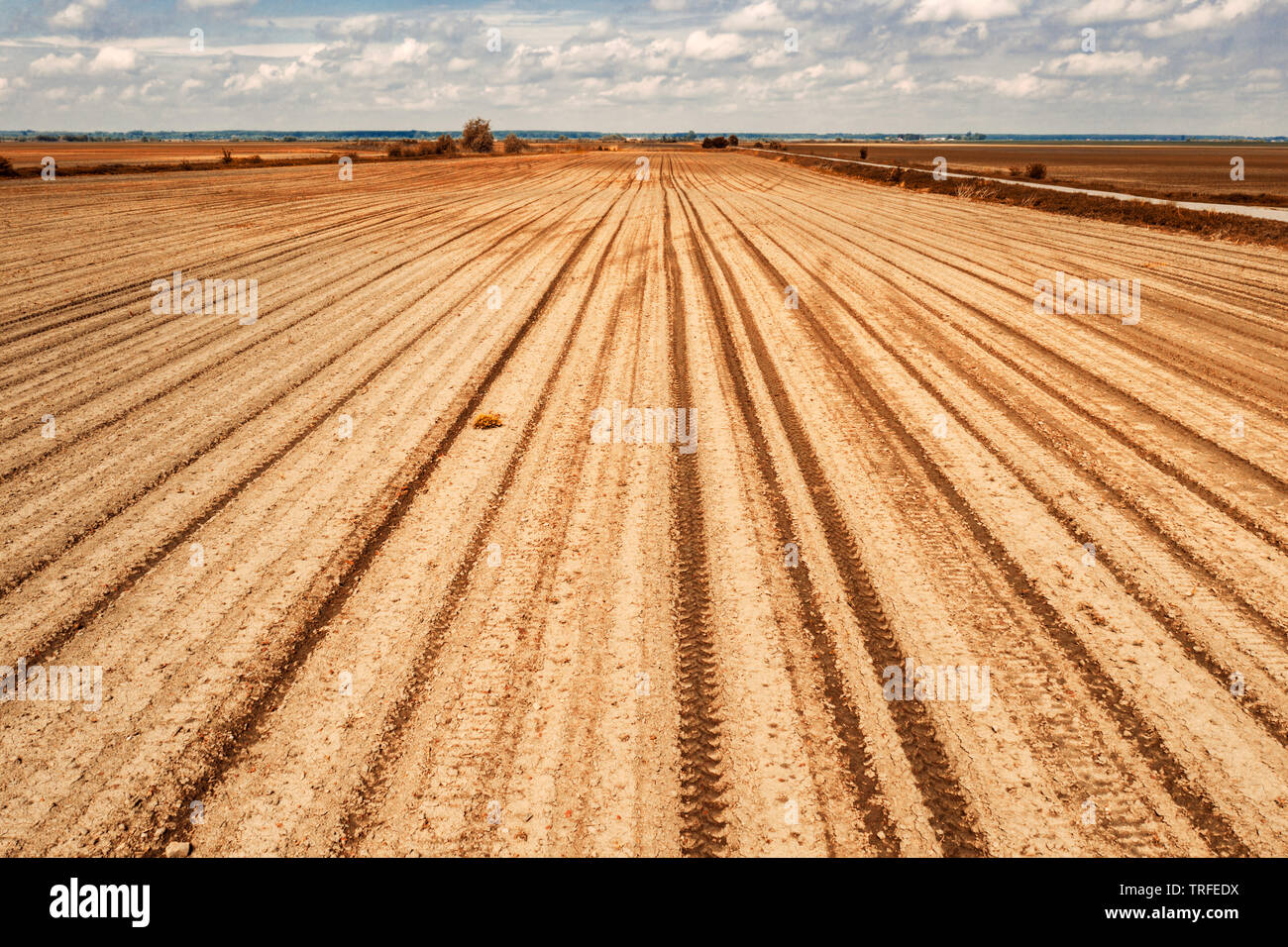 Plowed field land is ready for crop sowing season Stock Photo - Alamy