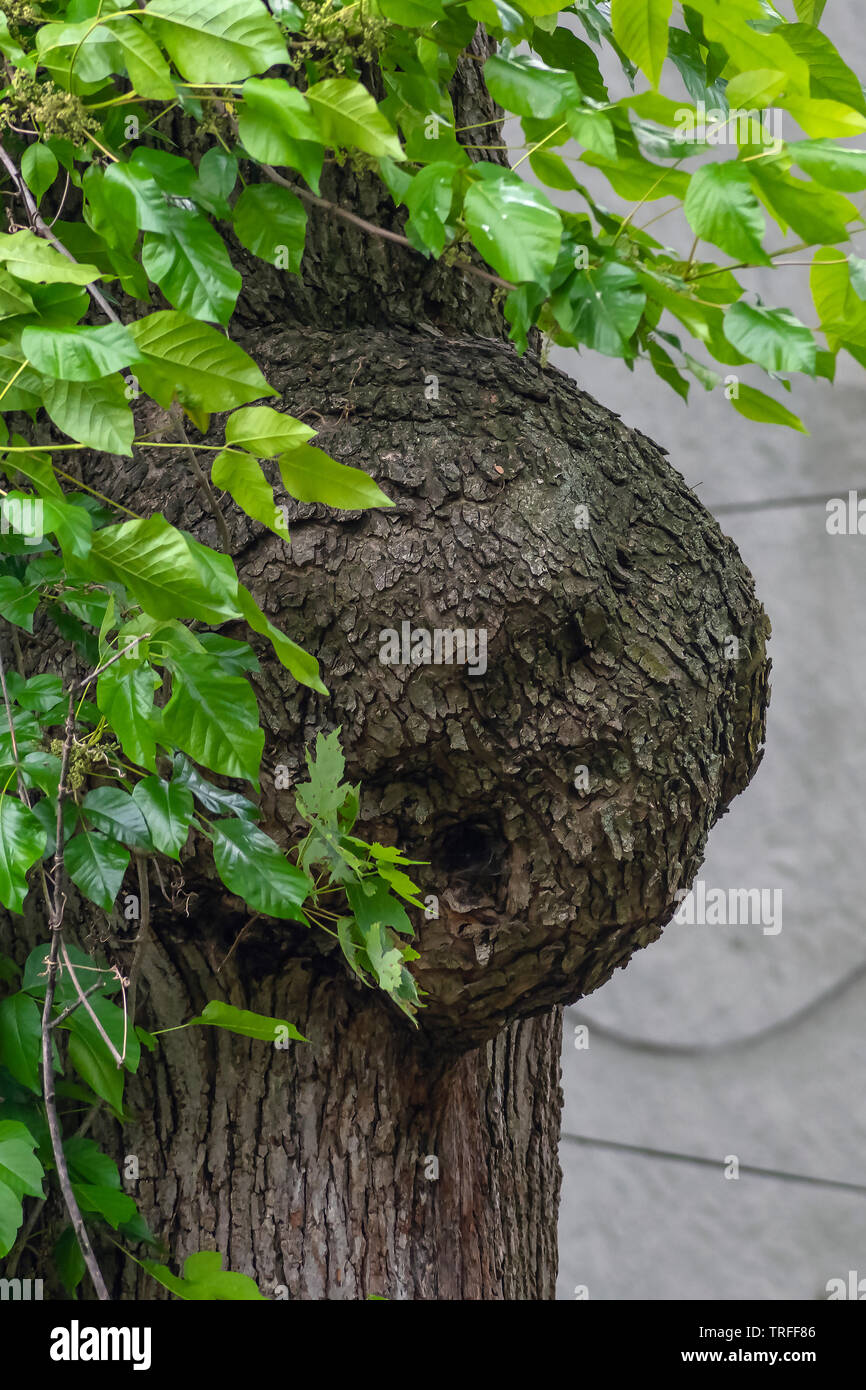 Rounded growth hi-res stock photography and images - Alamy