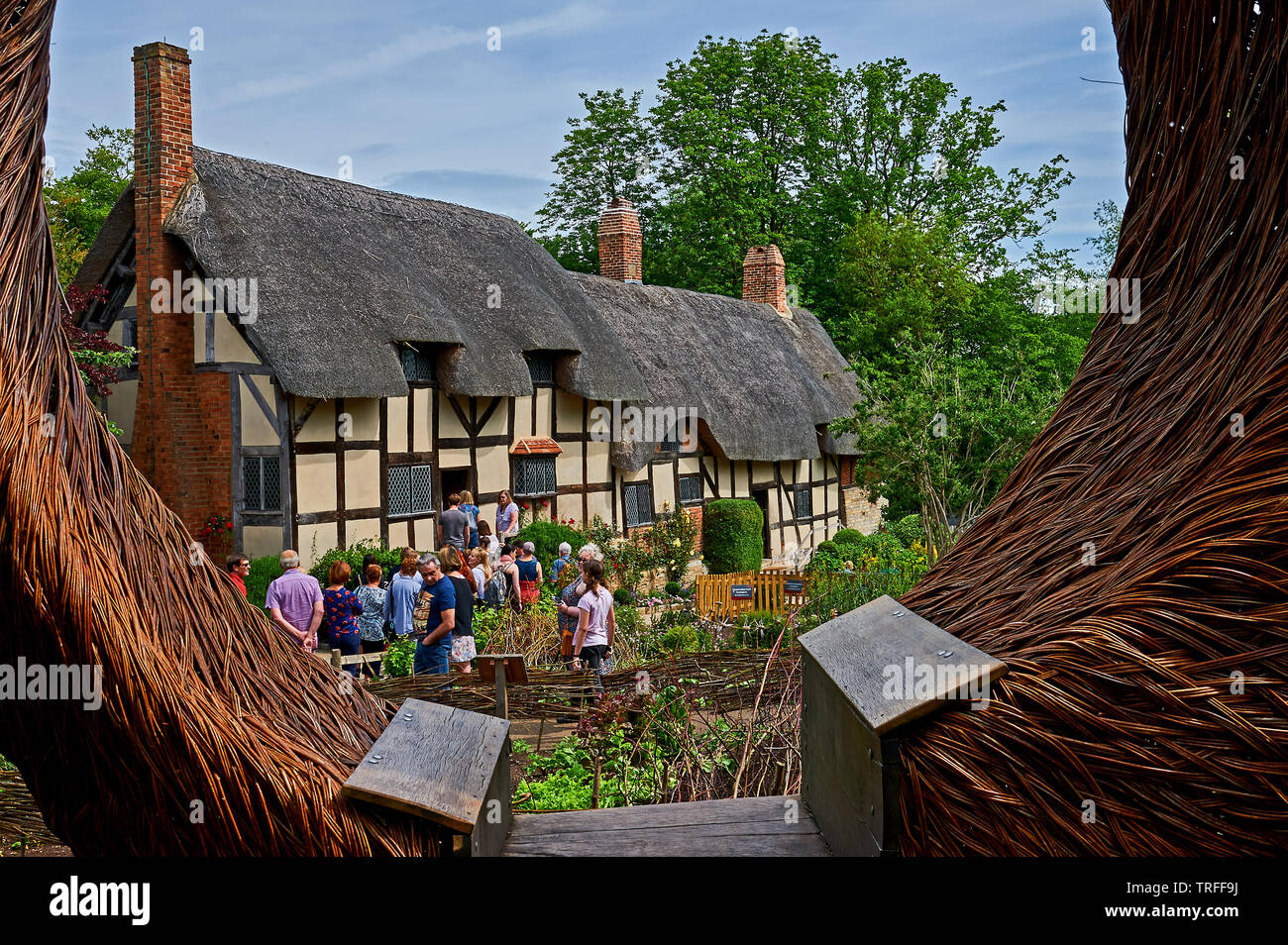 Half timbered thatched cottage hi-res stock photography and images - Alamy