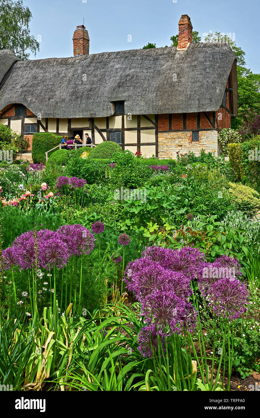 Half timbered thatched cottage hi-res stock photography and images - Alamy