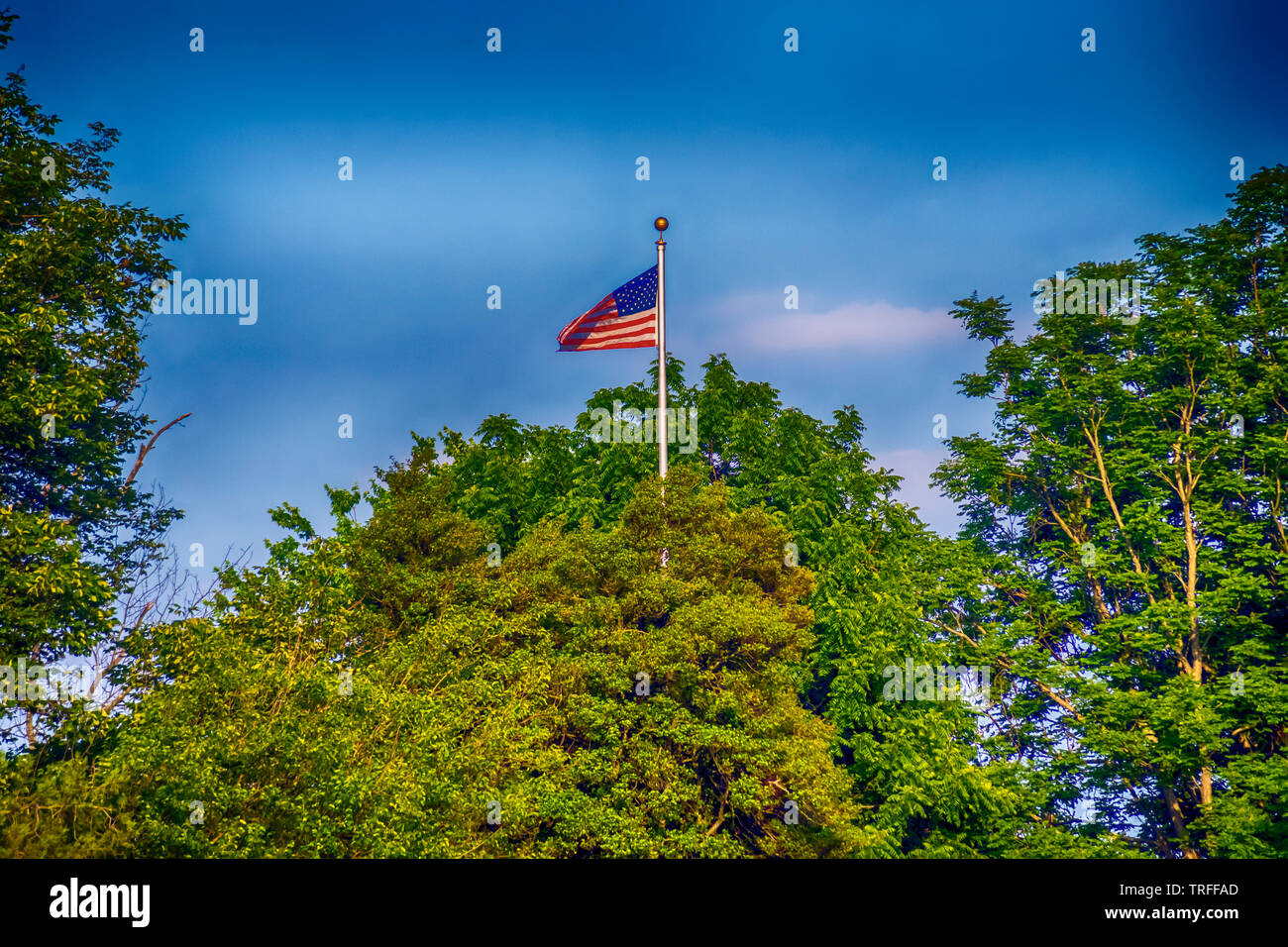 Tree with the american flag hi-res stock photography and images - Alamy