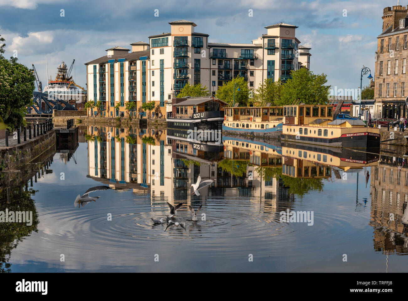Leith edinburgh waterfront hi-res stock photography and images - Alamy