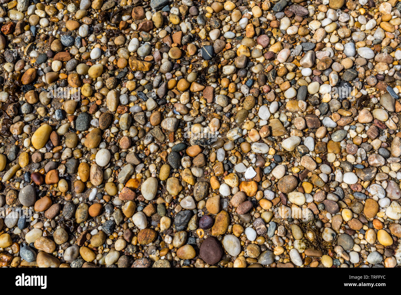 small to medium sized rocks on a beach during a sunny day Stock Photo ...