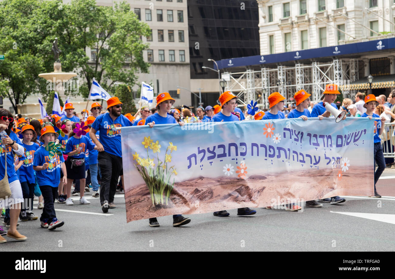 Manhattan, New York, June 2, 2019 - 55th Annual "Celebrate Israel ...