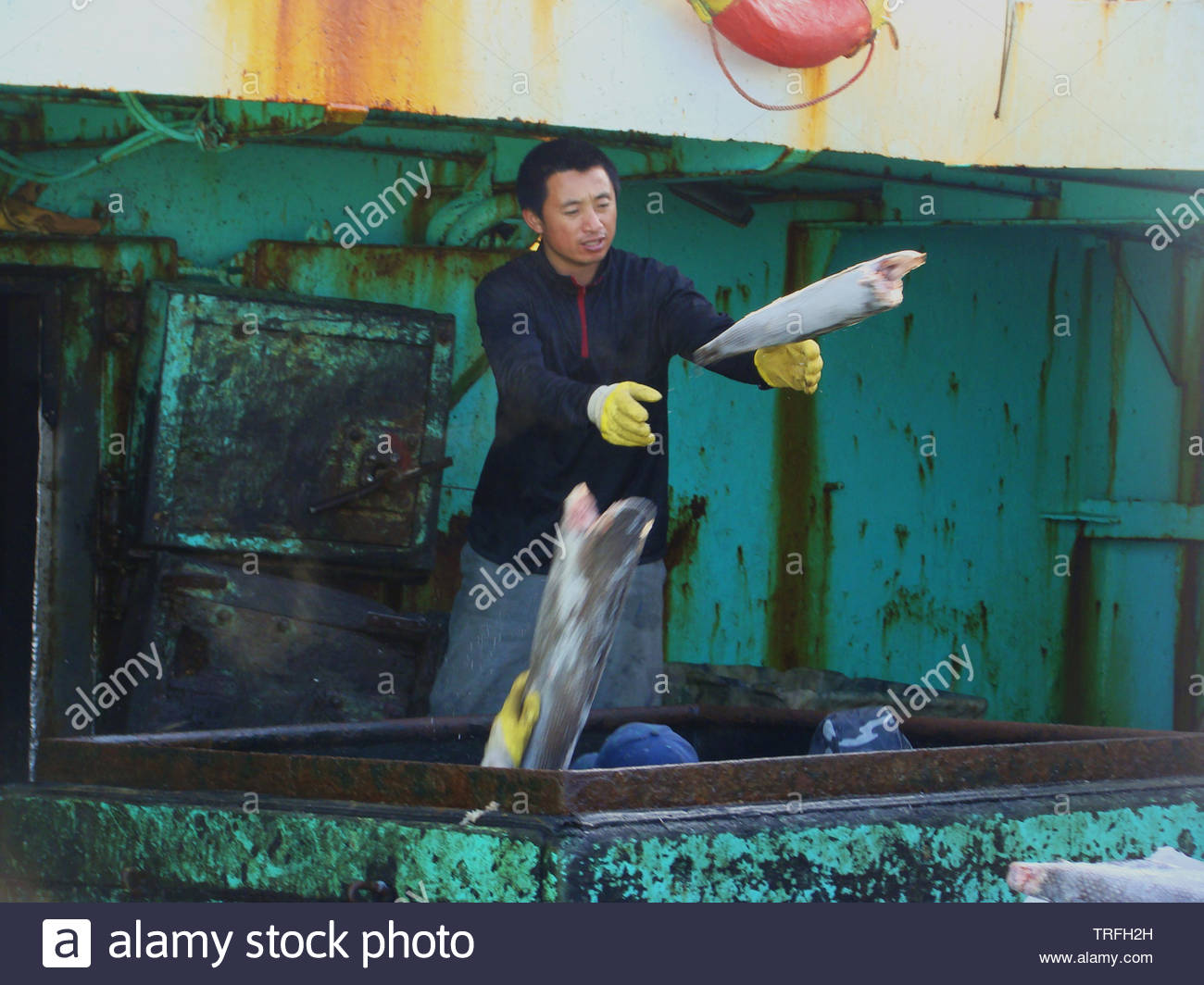 High Seas Fishing High Resolution Stock Photography and Images - Alamy