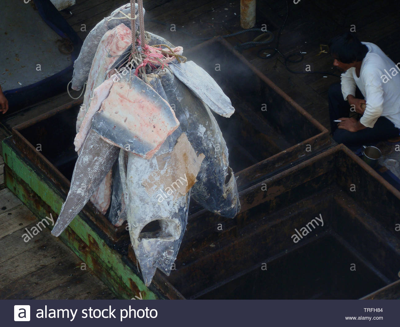 High Seas Fishing High Resolution Stock Photography and Images - Alamy