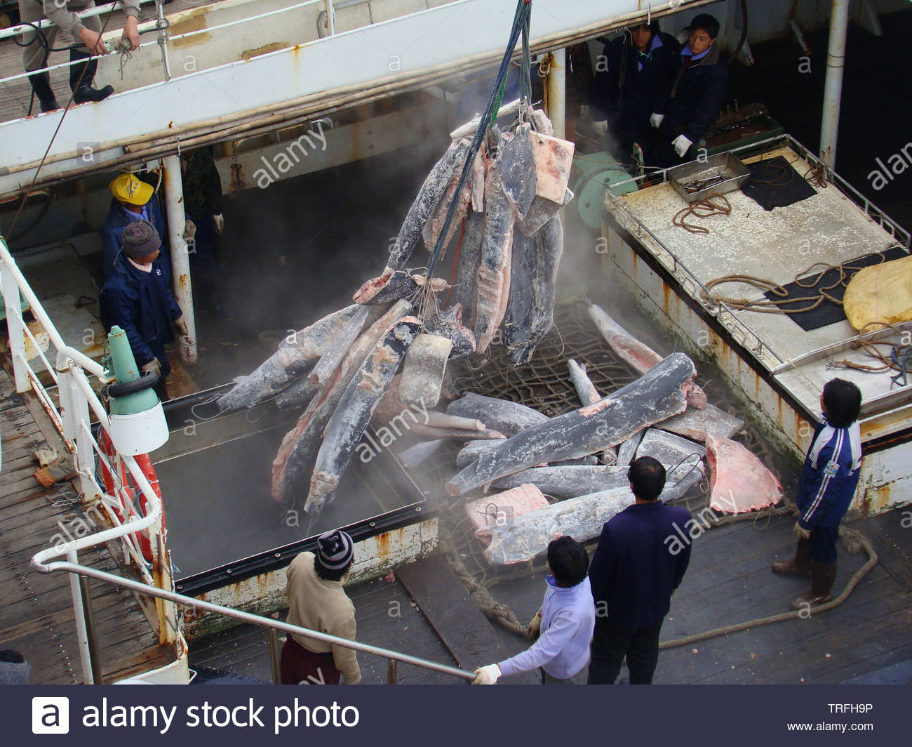 High Seas Fishing High Resolution Stock Photography and Images - Alamy