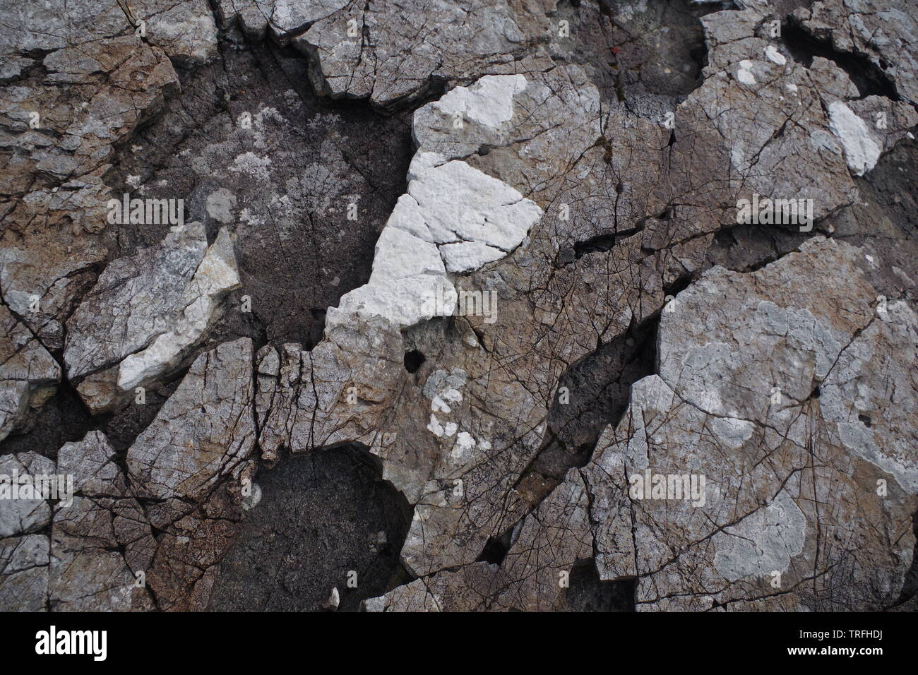 Close Up Natural Background of Middle Jurassic Lias Limestone Outcrop ...