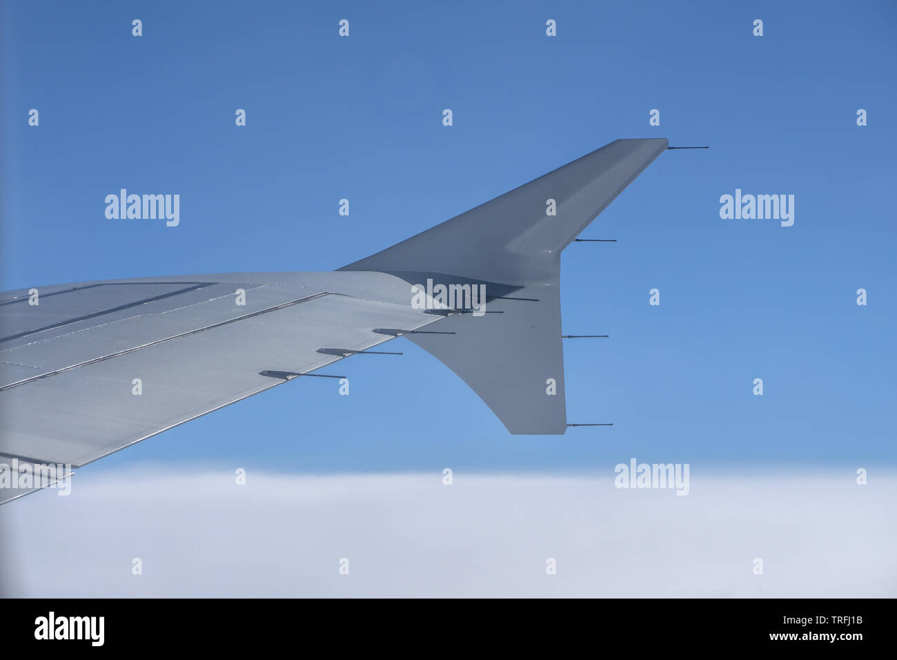 Aircraft Wing Tip High Resolution Stock Photography and Images - Alamy