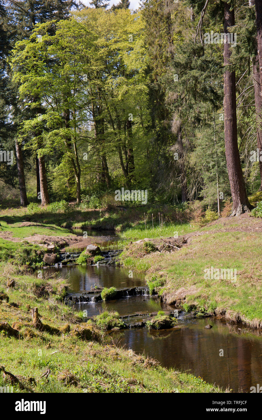 Cragside house and gardens, Northumberland, England Stock Photo - Alamy
