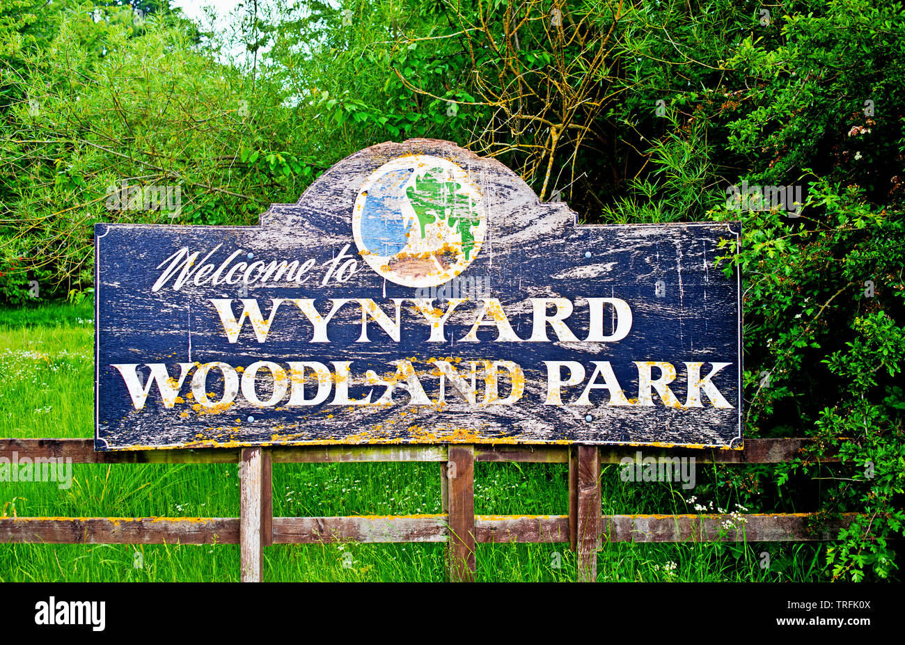 Wynyard woodland park hi-res stock photography and images - Alamy