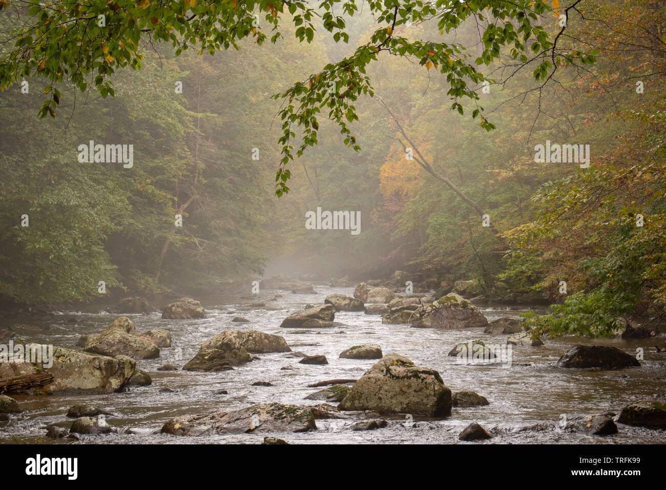 Mist stones hi-res stock photography and images - Alamy