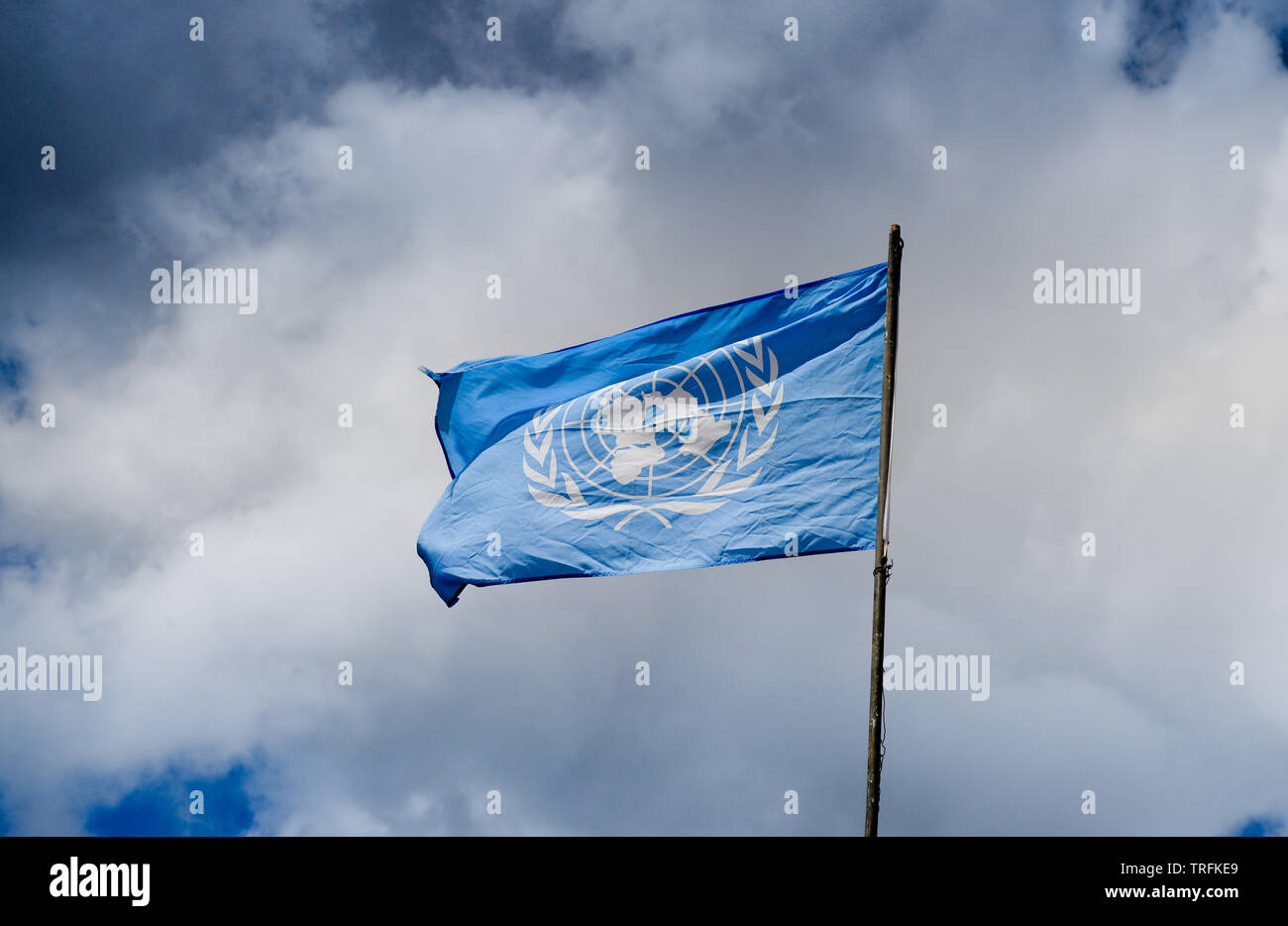 The flag of the United Nations flying Stock Photo - Alamy