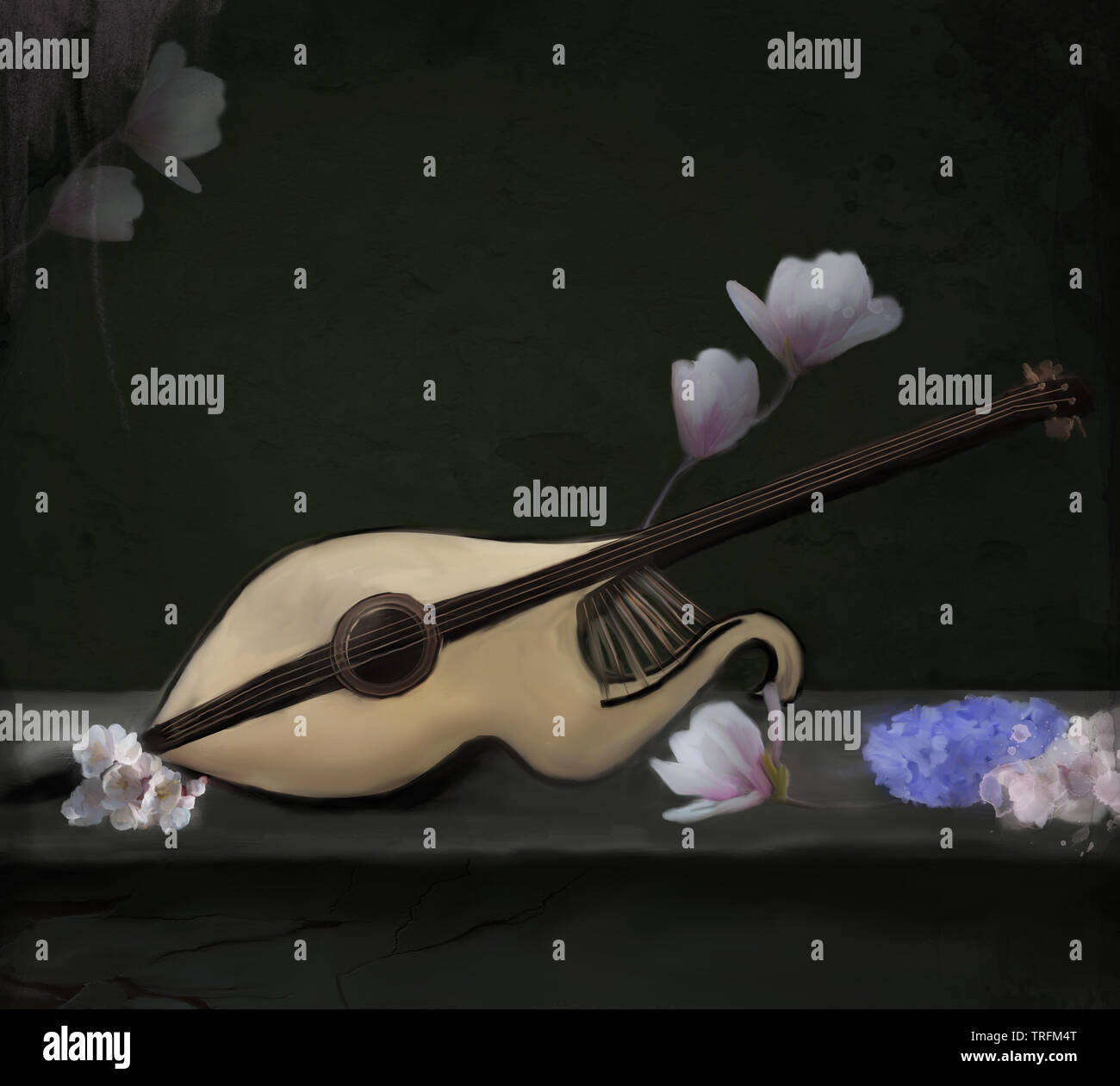 Surreal instrument hi-res stock photography and images - Alamy