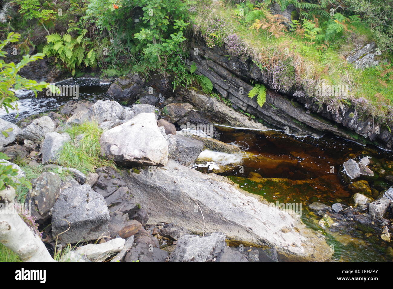 Pool in a Highland Burn Flowing in a Gully through Middle Jurassic Lias ...