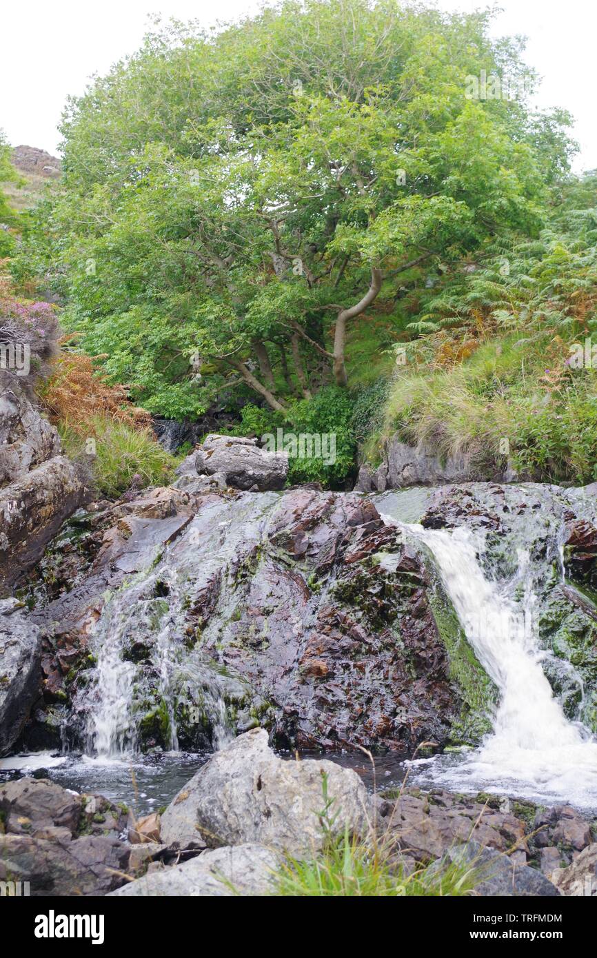 Highland Burn Waterfall Flowing in a Gully through Middle Jurassic Lias ...