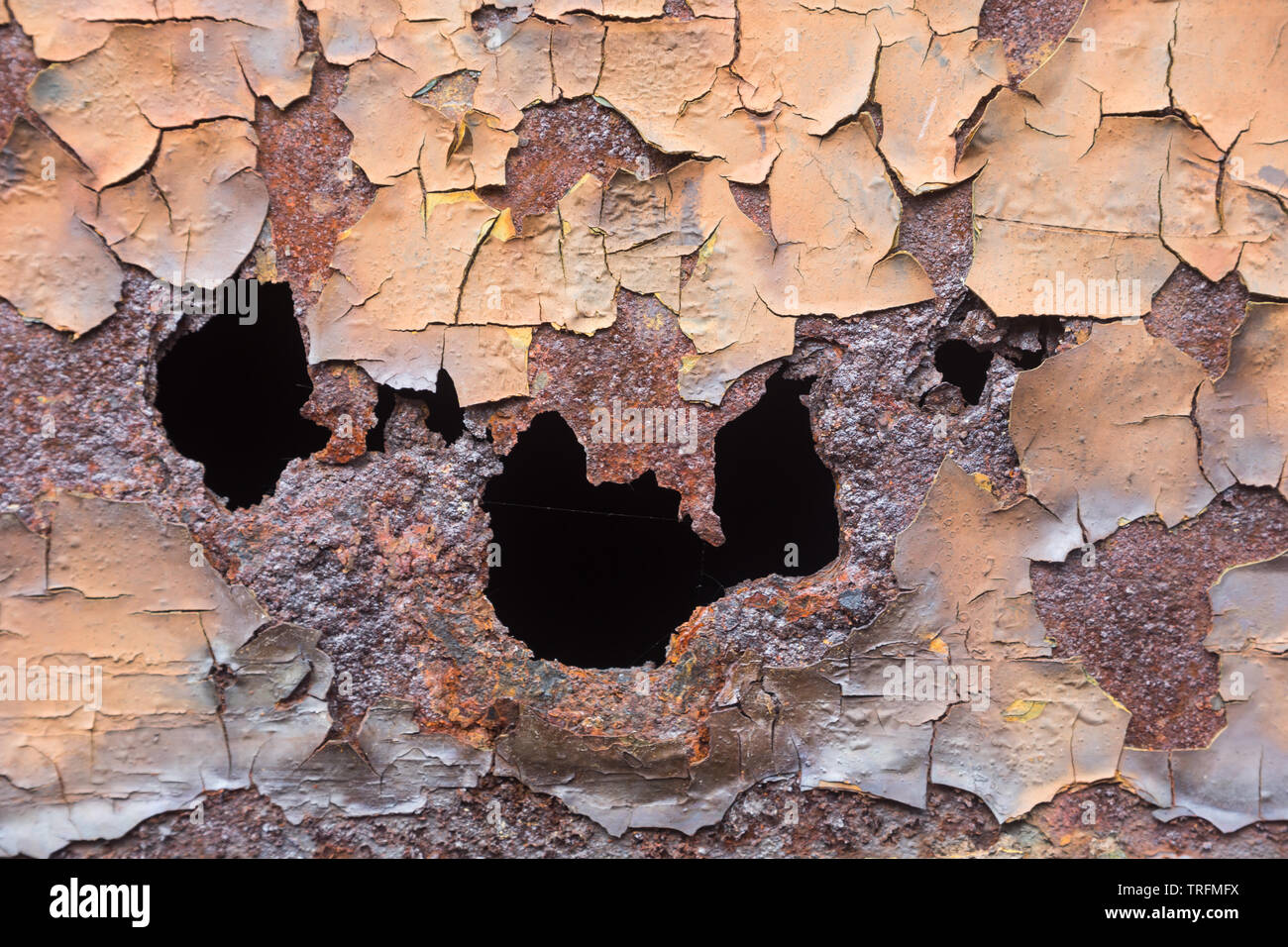 Close-up of peeling orange paint on heavily rusted steel sheet metal on ...