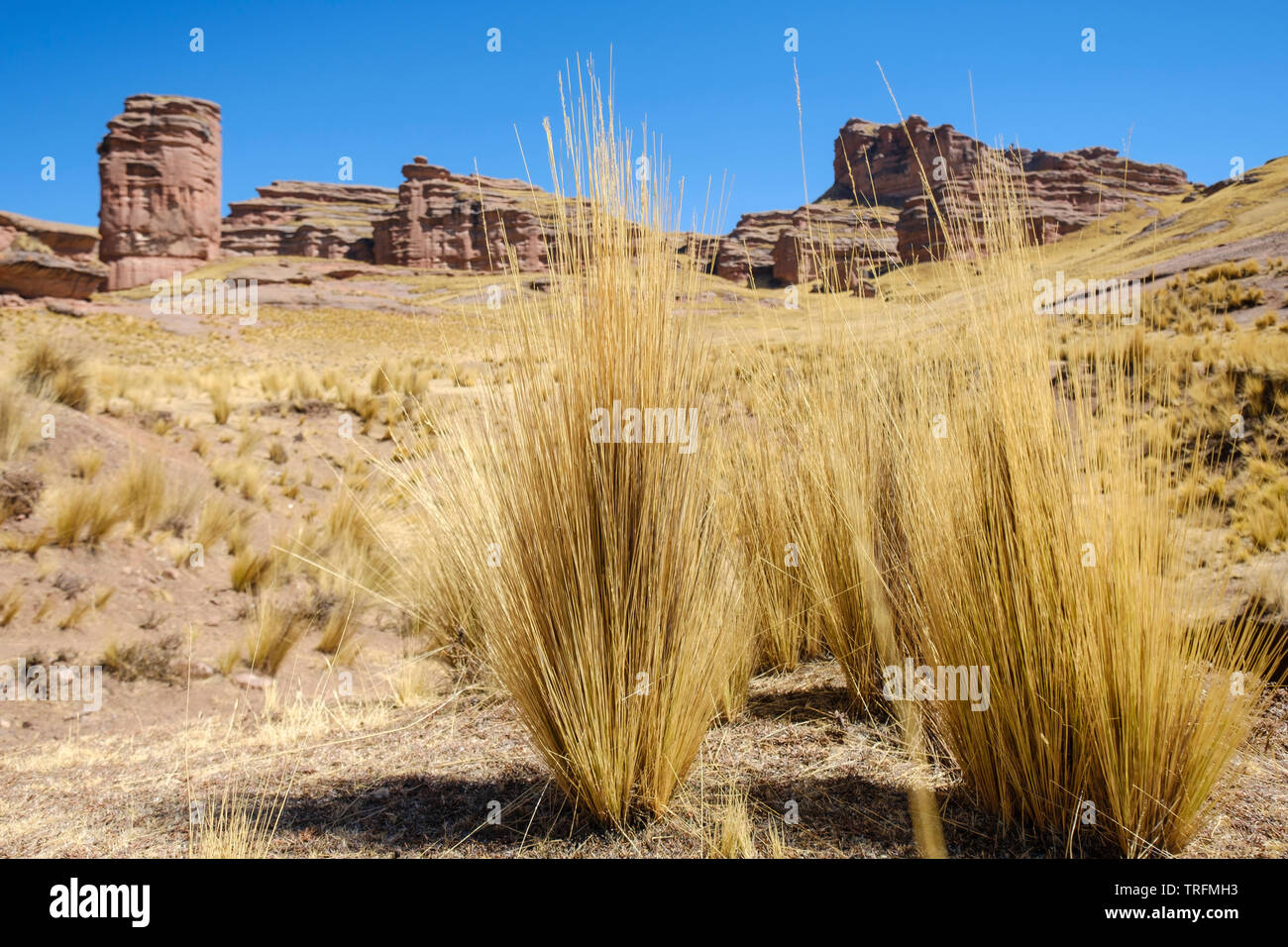 Amazing anthropomorphic rock figures are drawn on the landscape of the ...