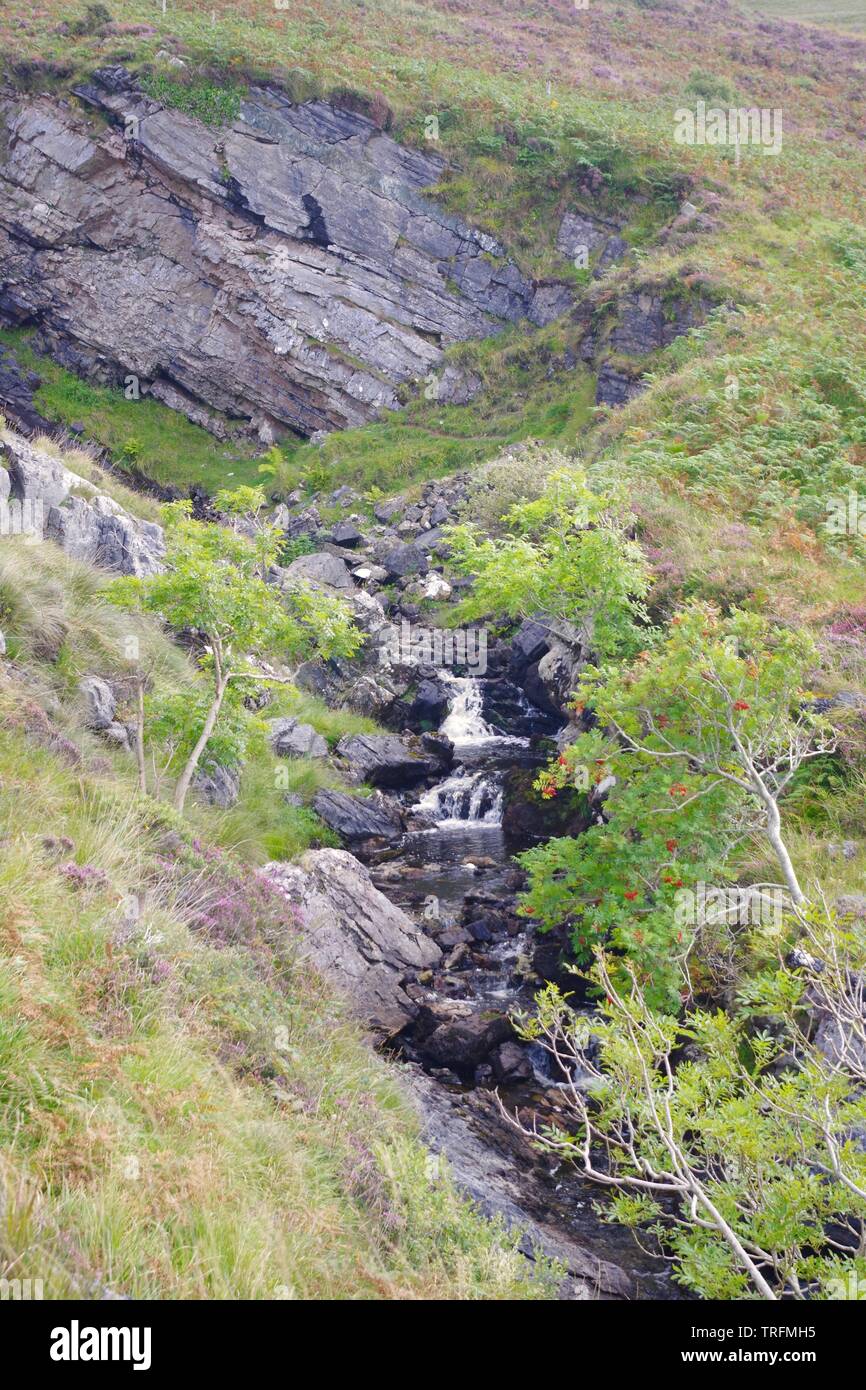 Highland Burn Flowing in a Gully through Middle Jurassic Lias Limestone ...