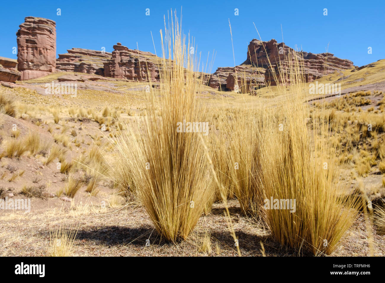 Amazing anthropomorphic rock figures are drawn on the landscape of the ...