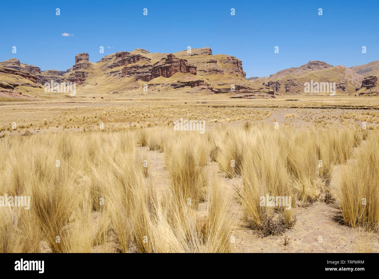 Landscape puno hi-res stock photography and images - Alamy