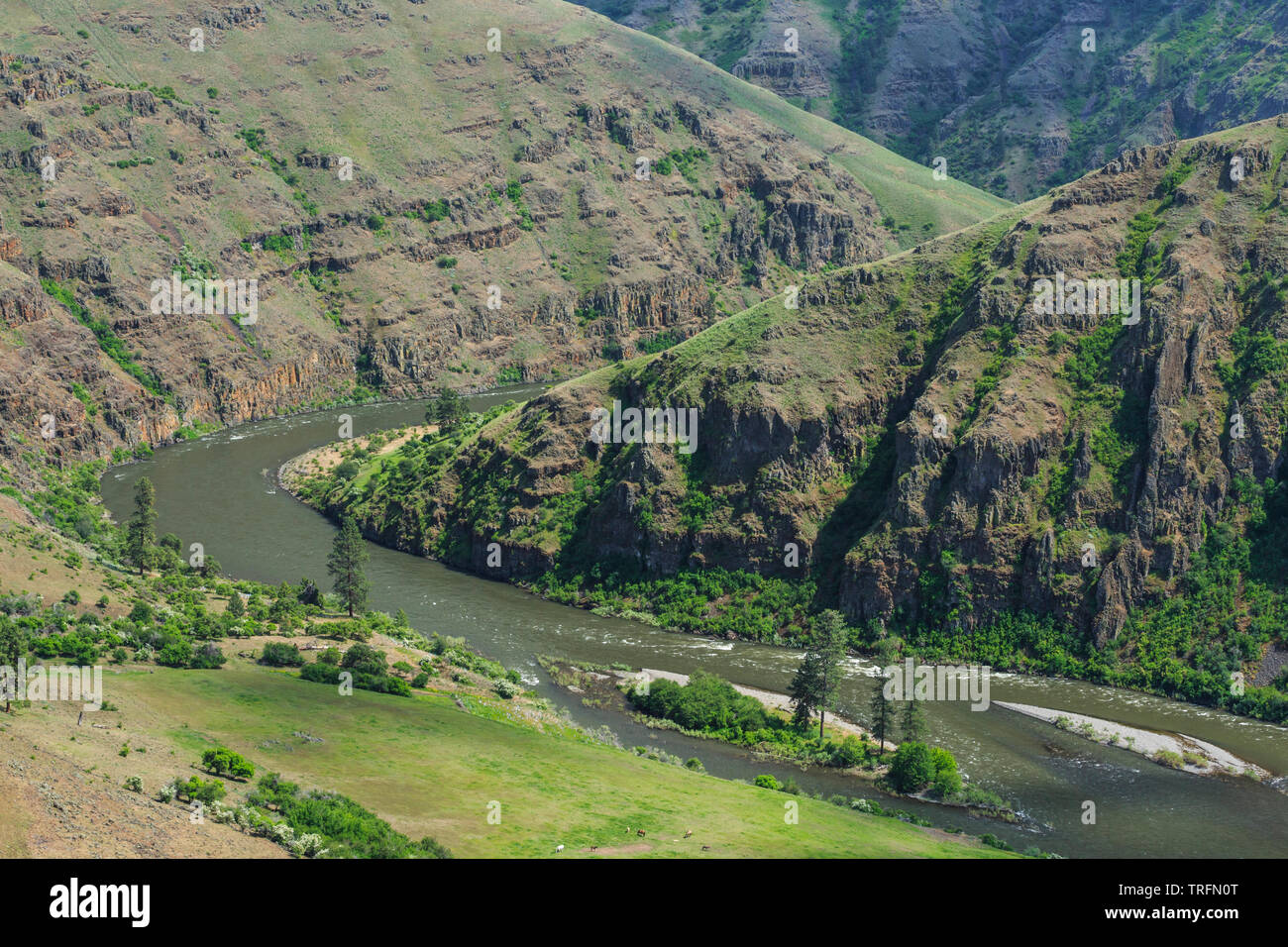 Washington stream riparian landscape scenic scenery hi-res stock ...