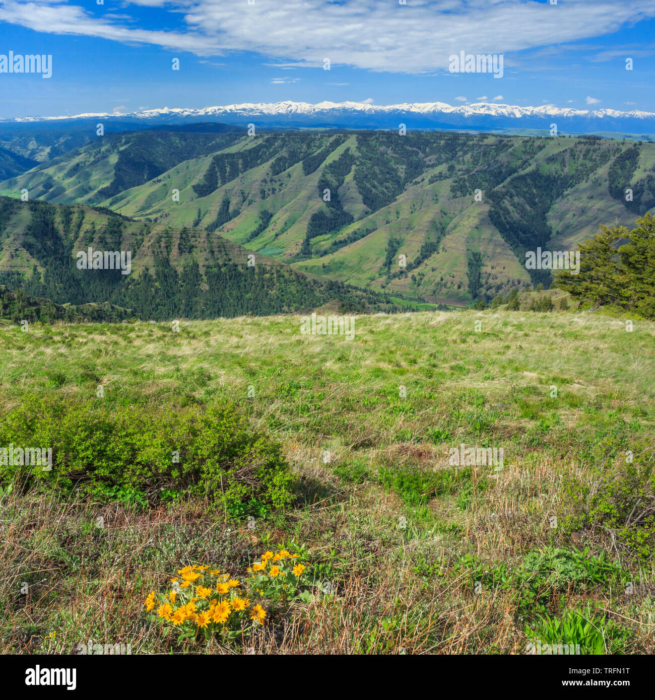 imnaha valley and wallowa mountains in the distance viewed from hat ...