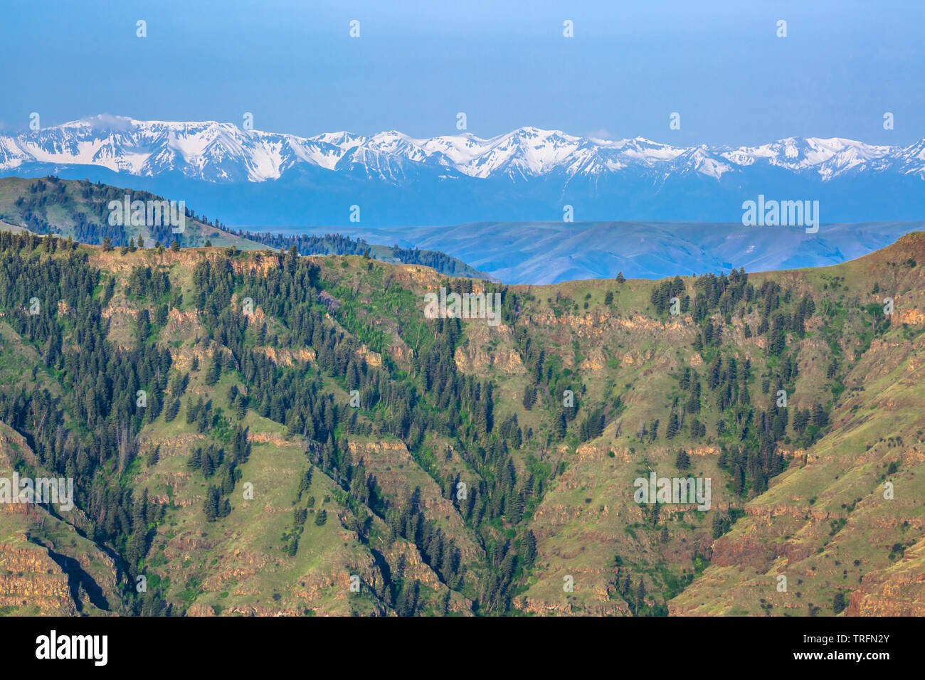 wallowa mountains above sheep creek divide viewed from hat point road ...