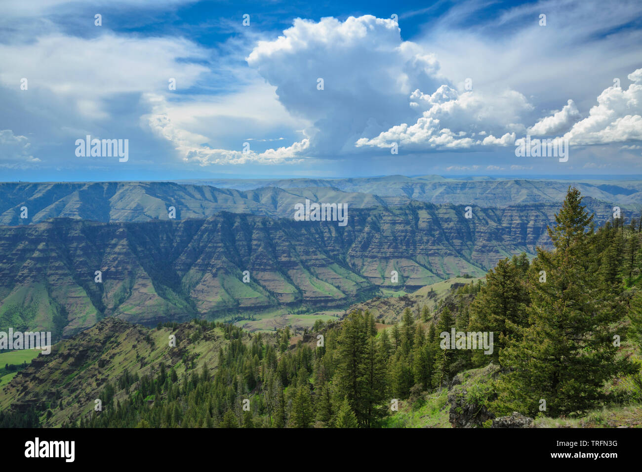 imnaha valley below sheep creek divide viewed from hat point road near ...