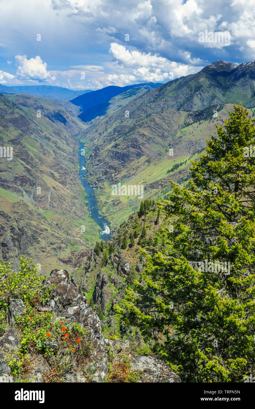 Aerial Snake River Oregon