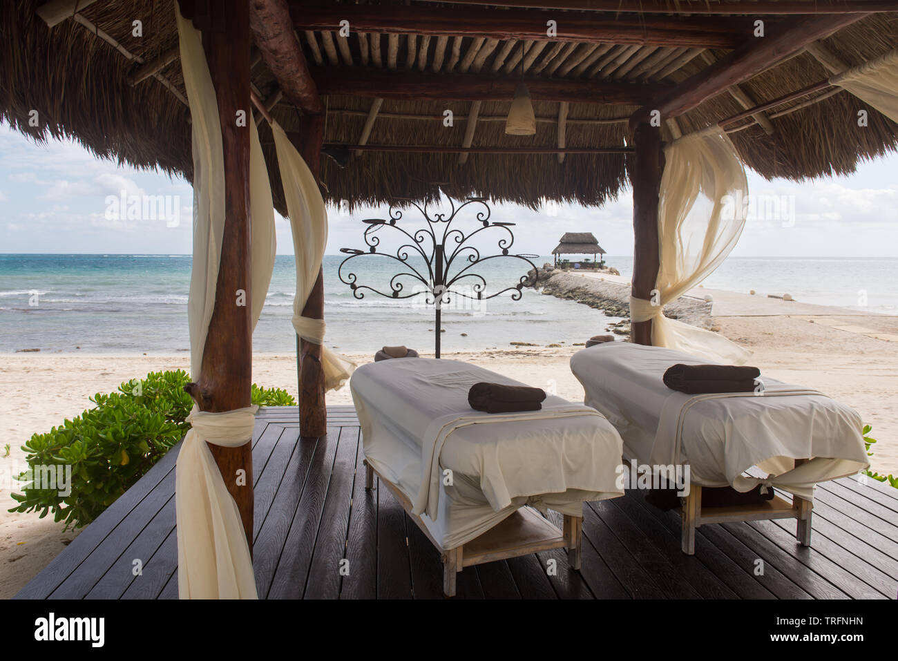 Beauty spa vector hi-res stock photography and images - Alamy