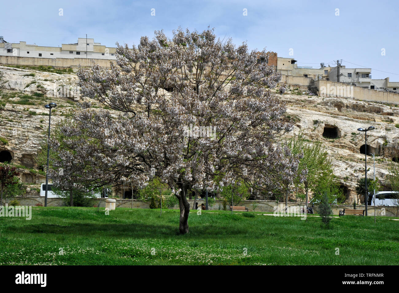 Urfa city hi-res stock photography and images - Alamy