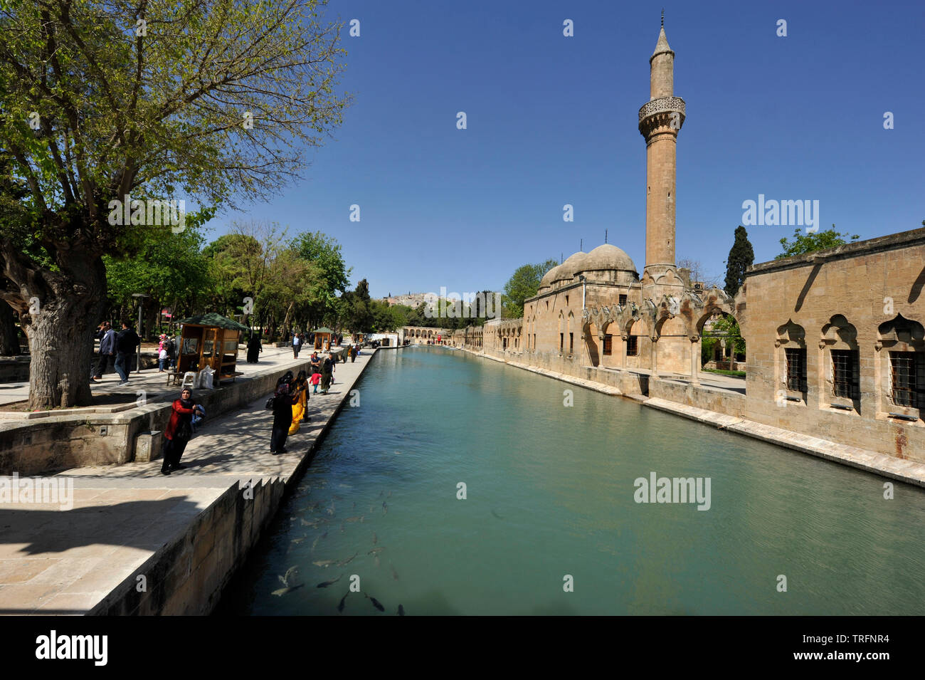 Pond of Abraham with Rizvaniye Mosque, Balıklıgöl pond and Rizvaniye ...